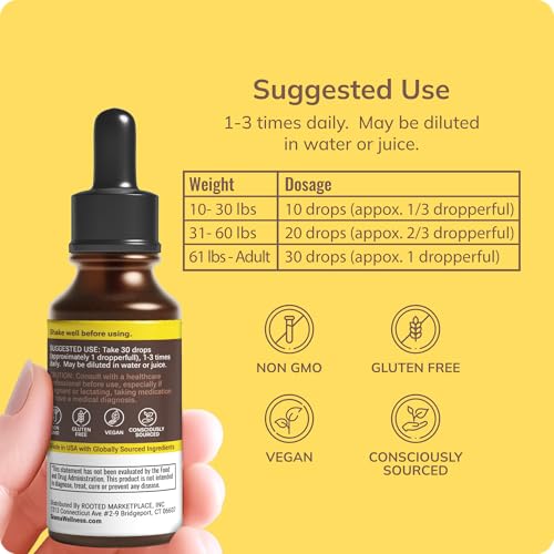echinacea tincture for seasonal health