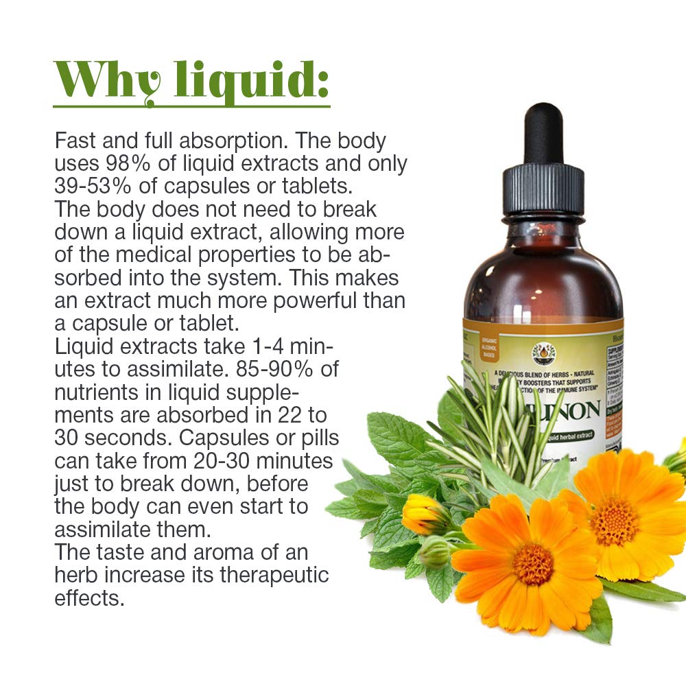 echinacea tincture for seasonal health