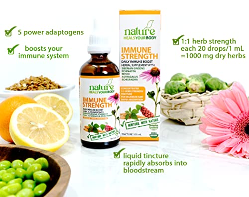 echinacea tincture for seasonal wellness