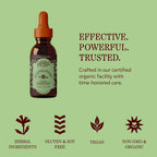 Echinacea tincture for throat comfort