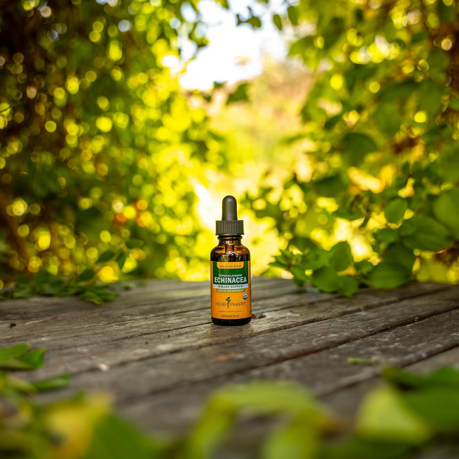Echinacea tincture for vitality