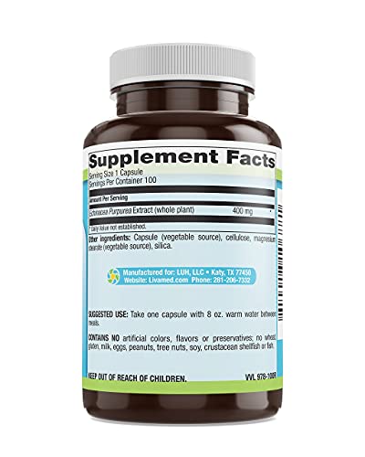 Echinacea veg capsules for holistic health