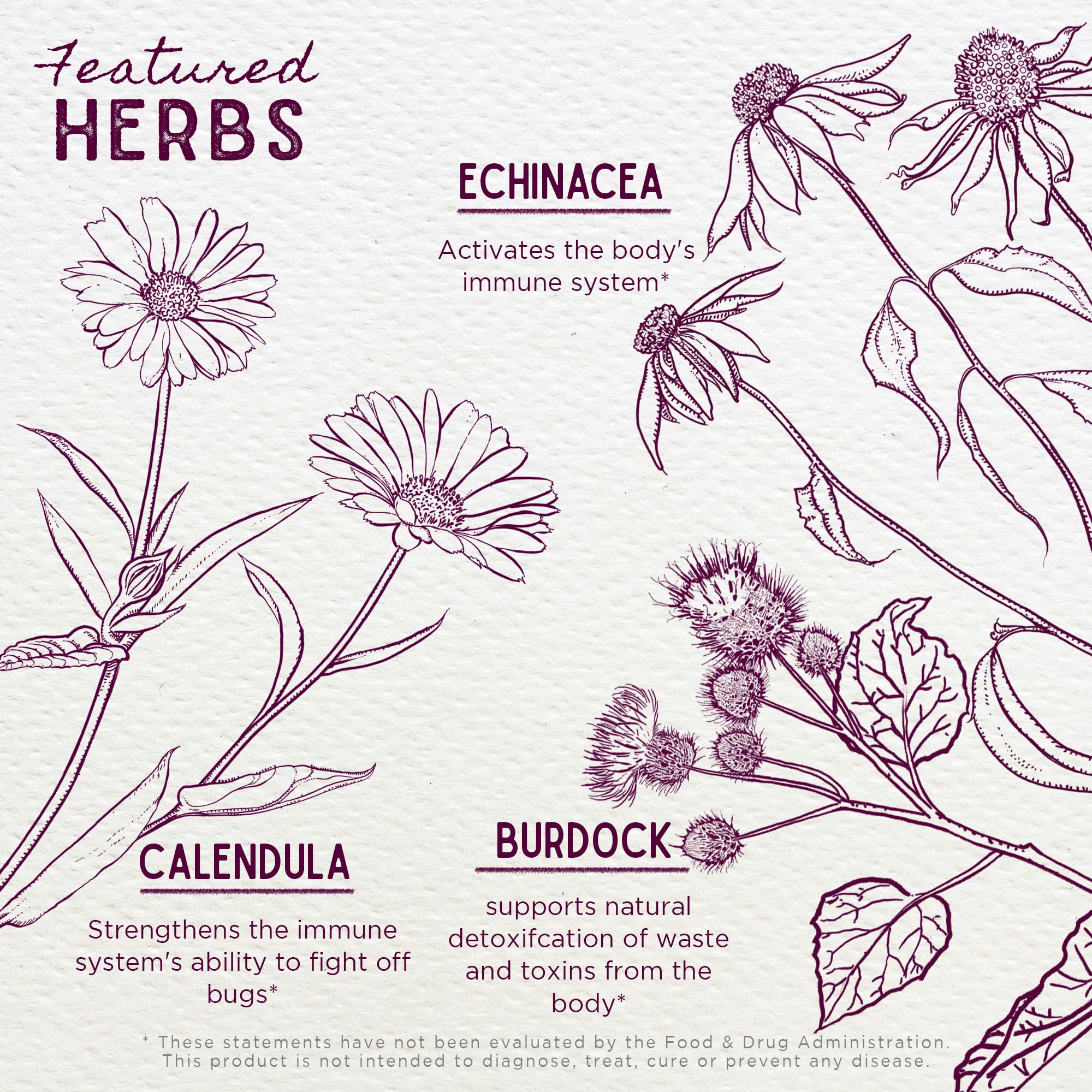 Echinacea with cleavers and marshmallow root