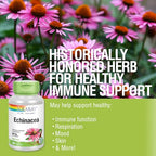 Echinacea with vitamin C and zinc