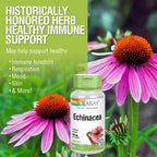 Echinacea with vitamin C and zinc