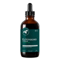 Echinacea Xtreme for immune health