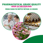 Echinaforce echinacea with zinc benefits