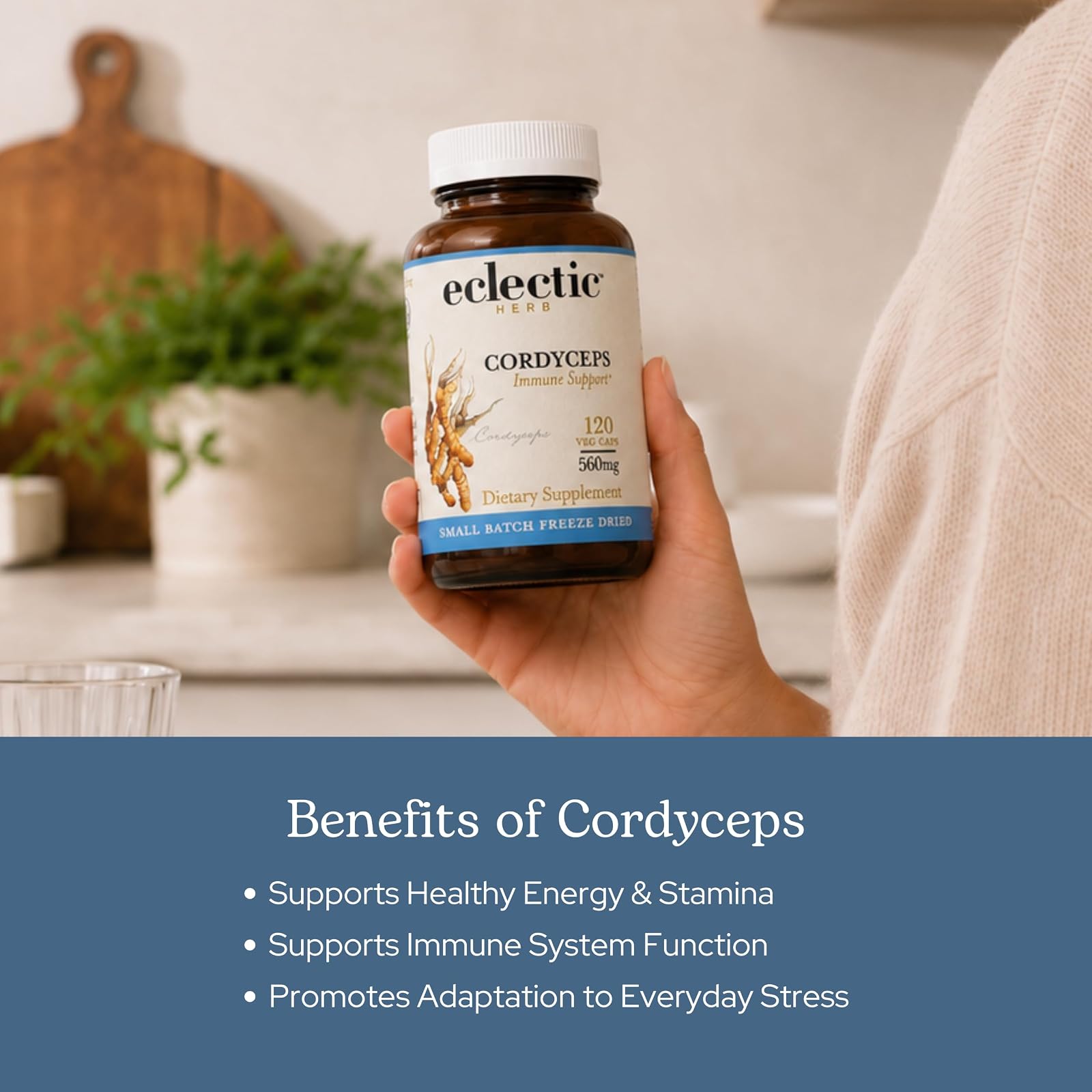 Eclectic Cordyceps for enhanced performance