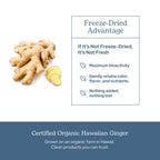 Eclectic Ginger capsules for daily health