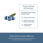 Eclectic Herb bilberry for healthy circulation