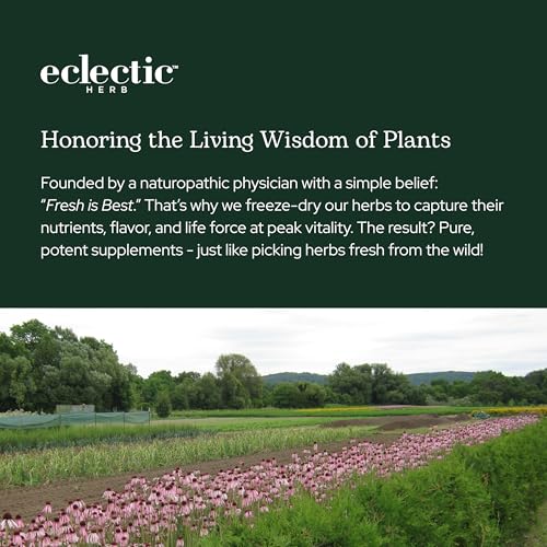 Eclectic Herb blended supplement for energy