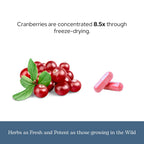Eclectic Herb cranberry dietary supplement