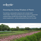 Eclectic Herb energy and wellness