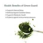Eclectic Herb Green Guard for energy boost