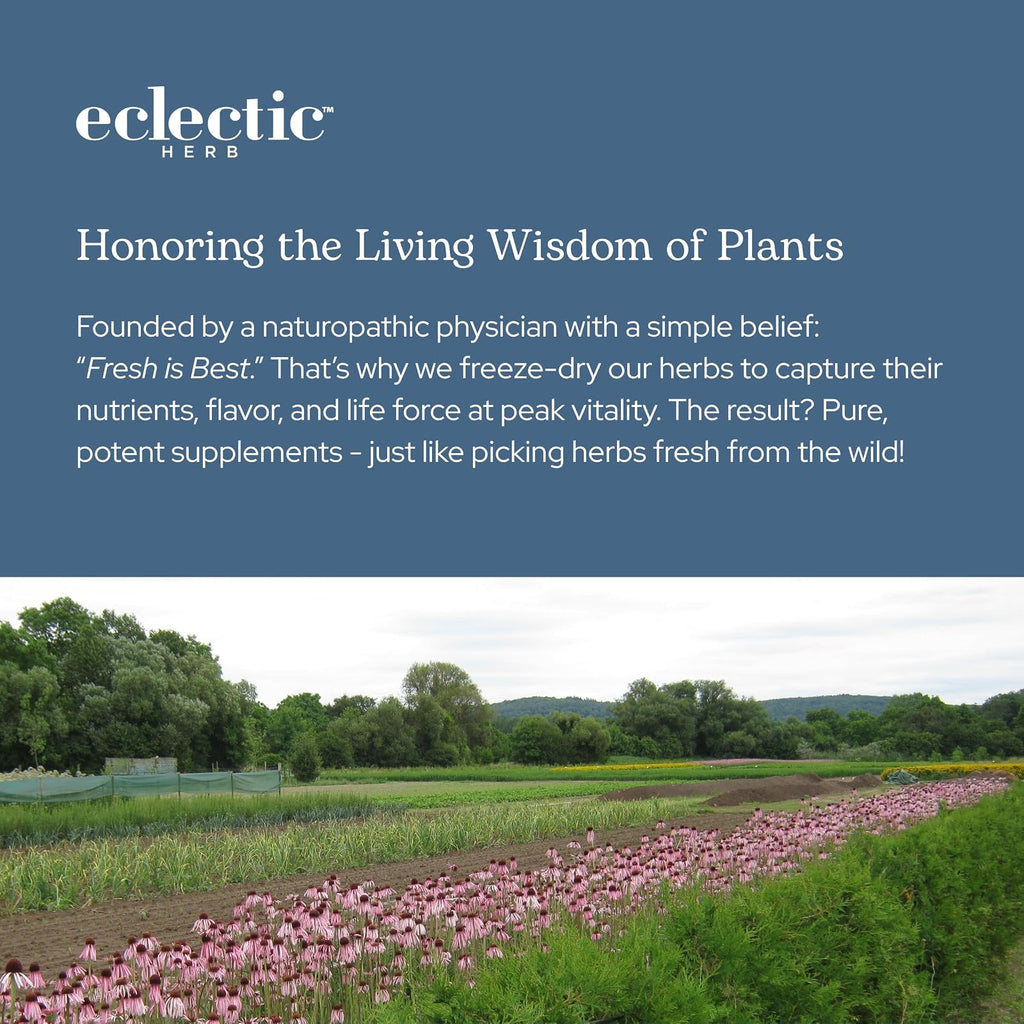 Eclectic Herb herbal capsules benefits