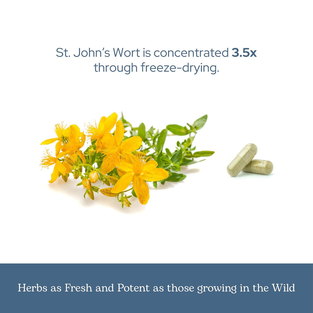 Eclectic Herb herbal health capsules