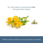 Eclectic Herb herbal health capsules
