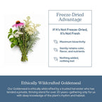 Eclectic Herb herbal supplement benefits
