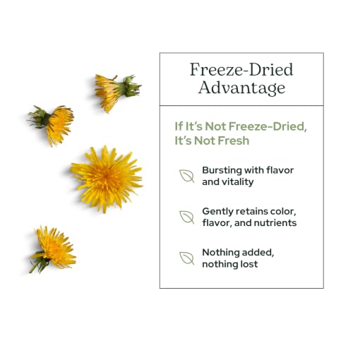 eclectic herb milk thistle benefits