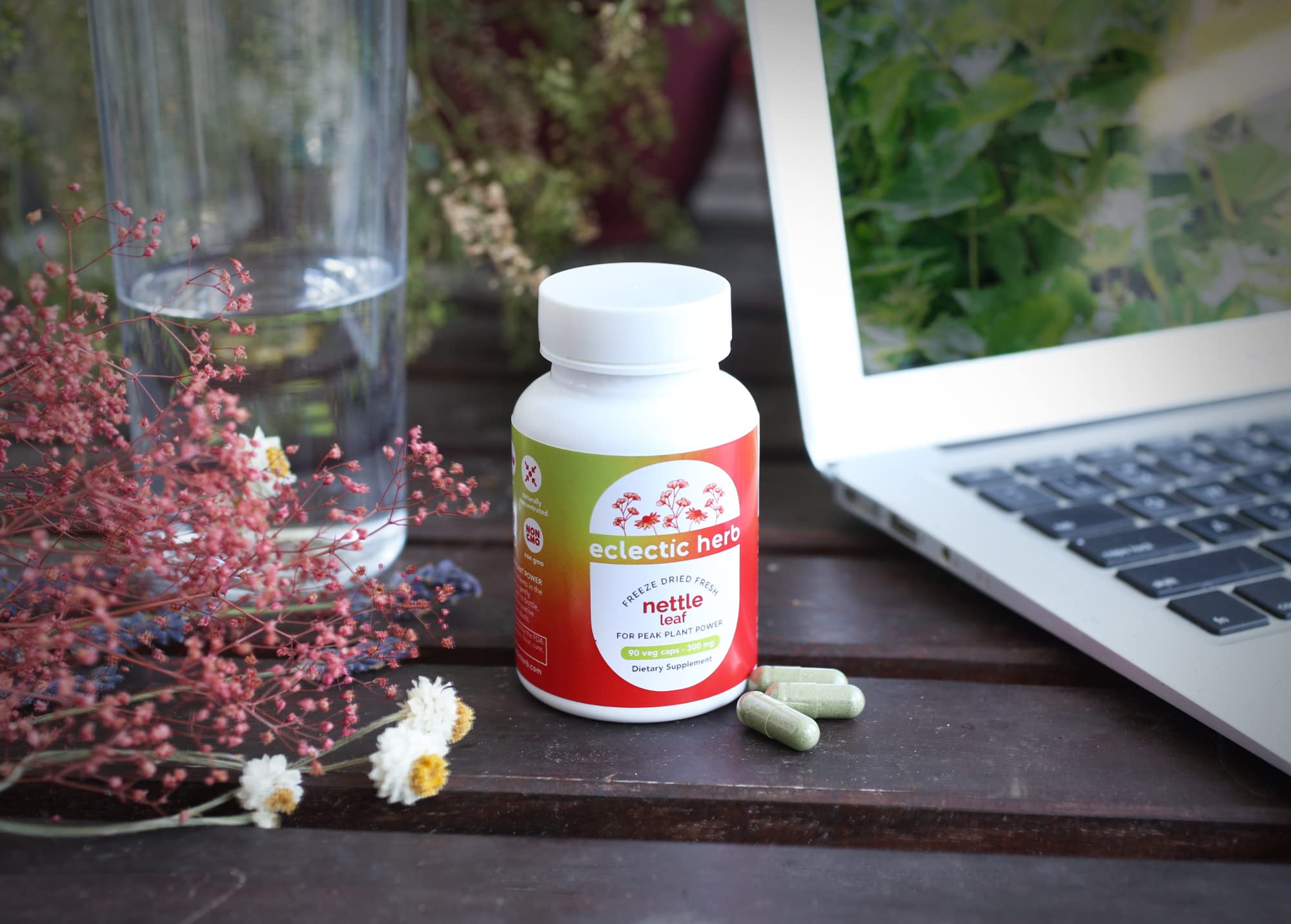 eclectic herb nettle for respiratory health