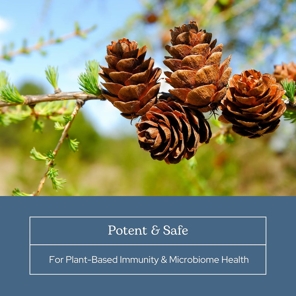 Eclectic Herb vitamins for balanced nutrition