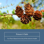 Eclectic Herb vitamins for balanced nutrition