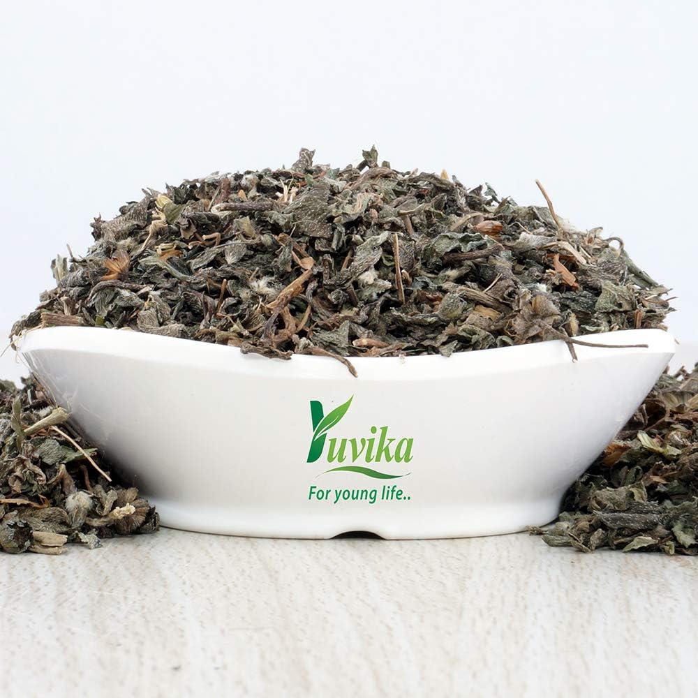 Eclipta Alba benefits for scalp wellness