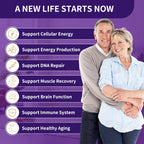 Ecliptron Vitamin B3 capsules for wellness
