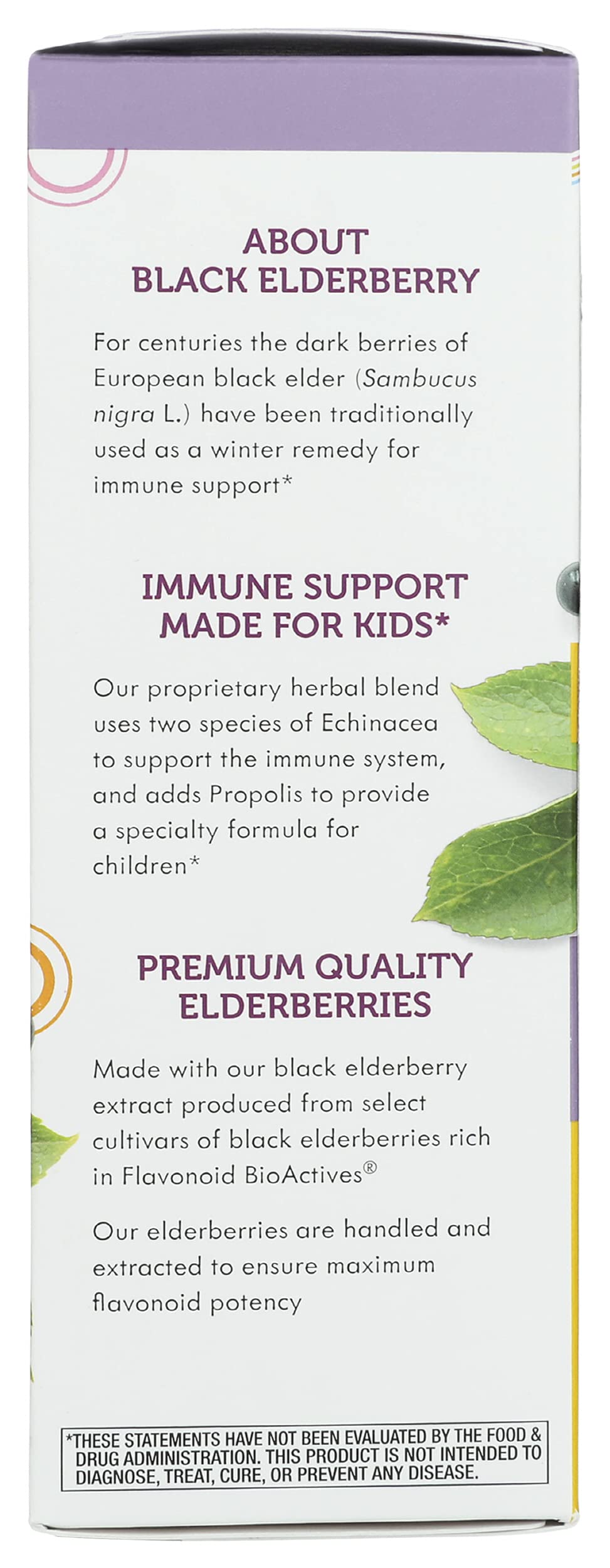 eco-friendly elderberry syrup for families