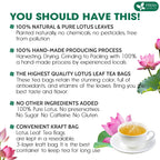 Eco-friendly herbal tea selection