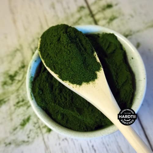eco-friendly protein supplement for wellness