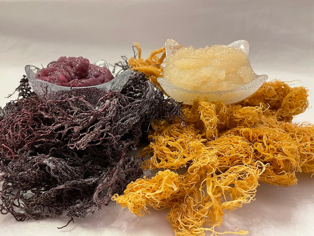 eco-friendly sea moss in glass