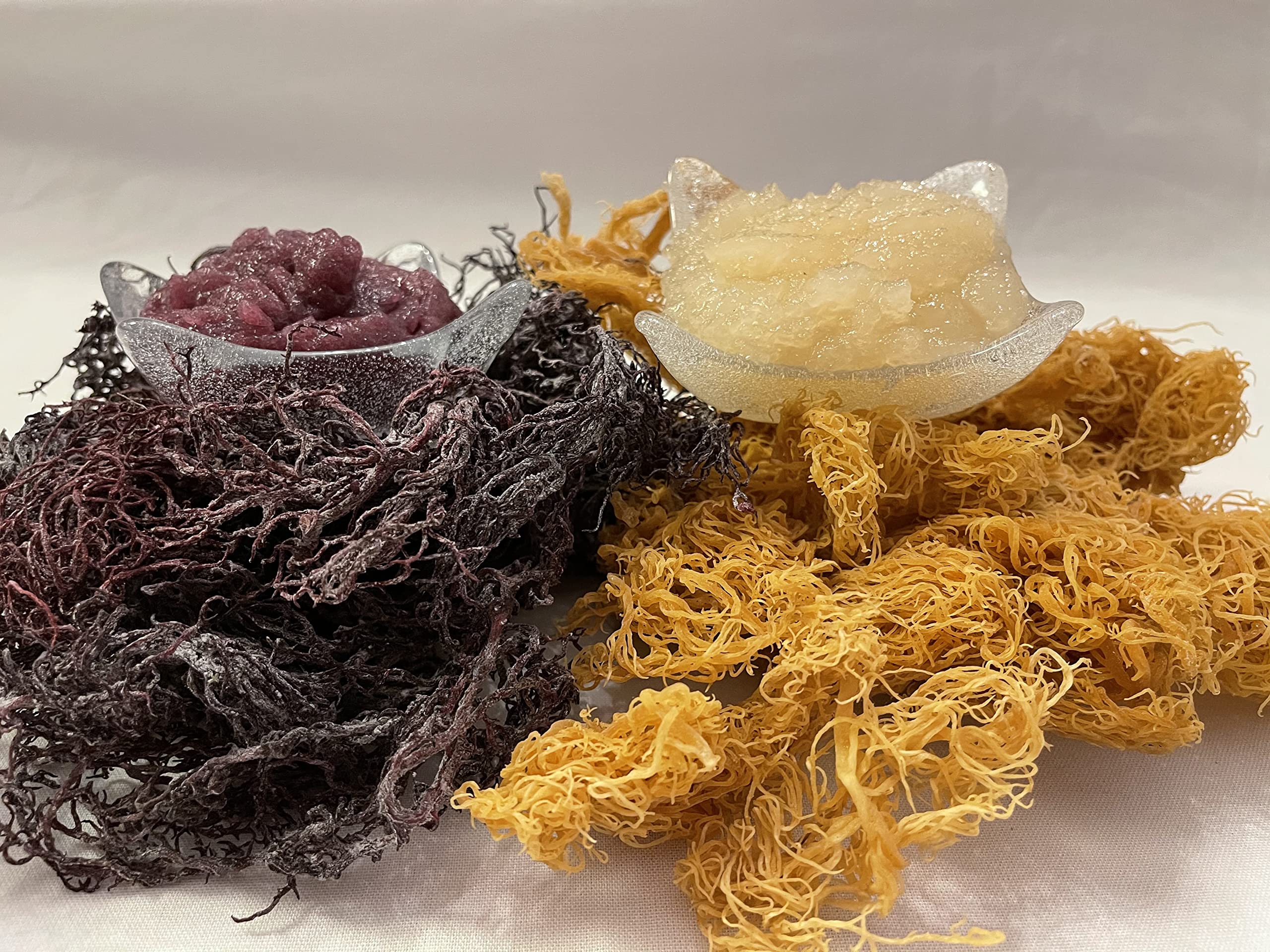 eco-friendly sea moss in glass