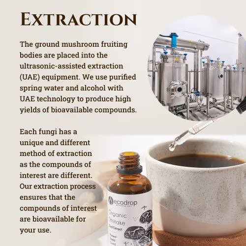 Ecodrop tincture for holistic health