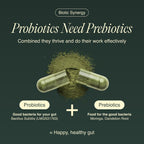 Ecosh Bacillus Subtilis for men