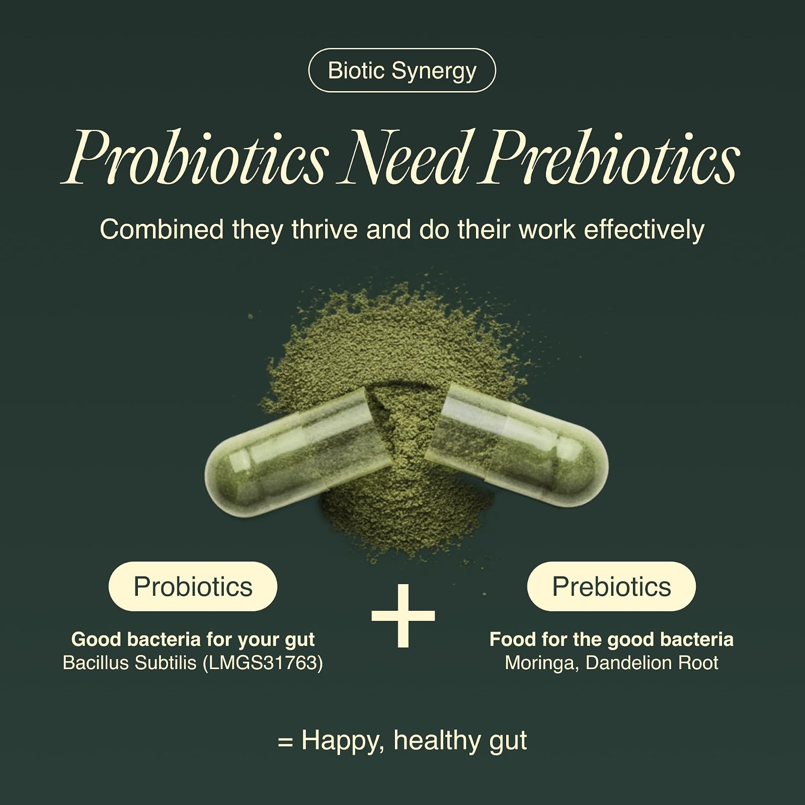 Ecosh Bacillus Subtilis for men