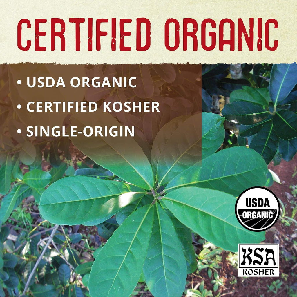 ECOTEAS yerba mate health benefits