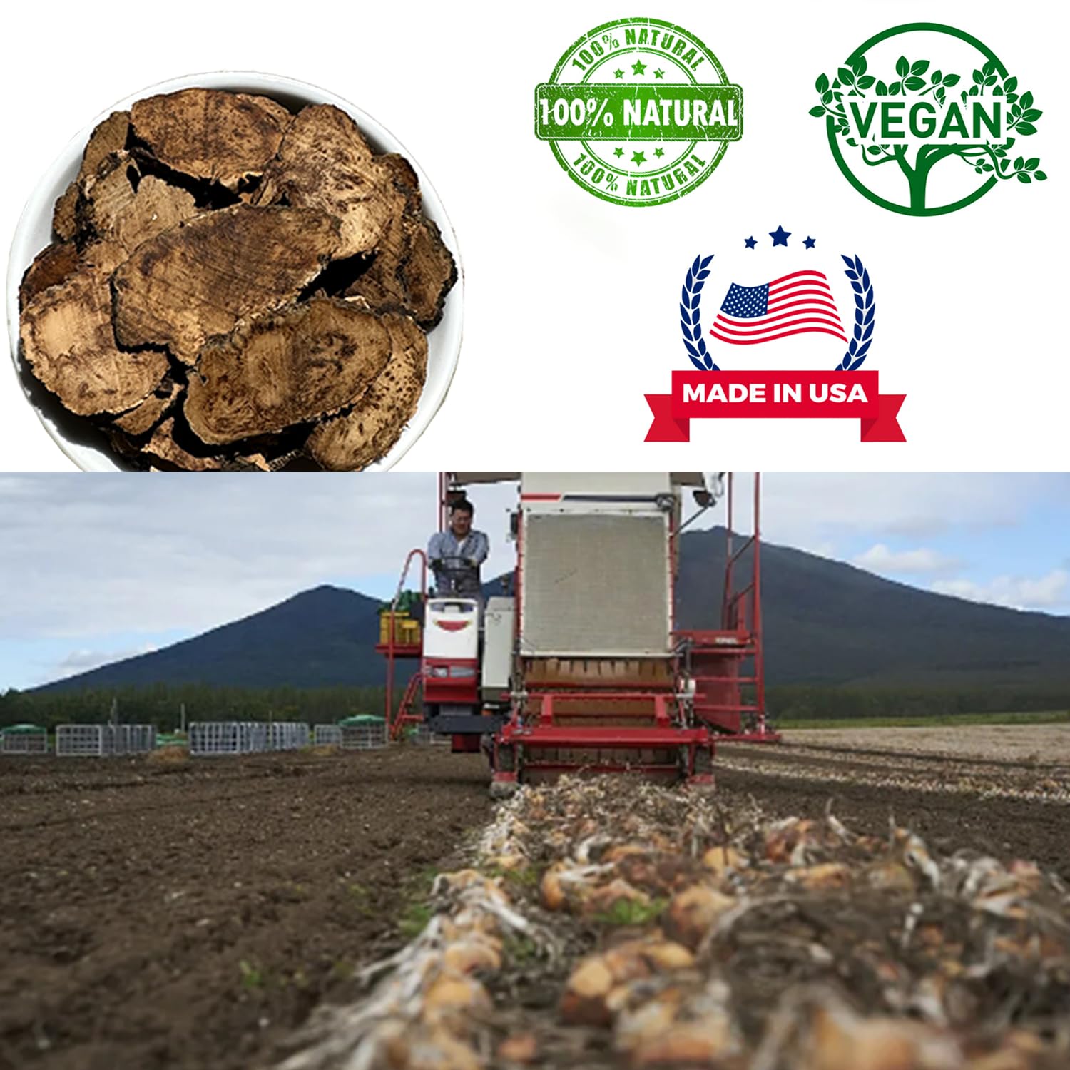 edible maca root slices for smoothies