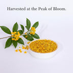 edible osmanthus for herbal infusions