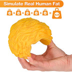 educational human body model for kids