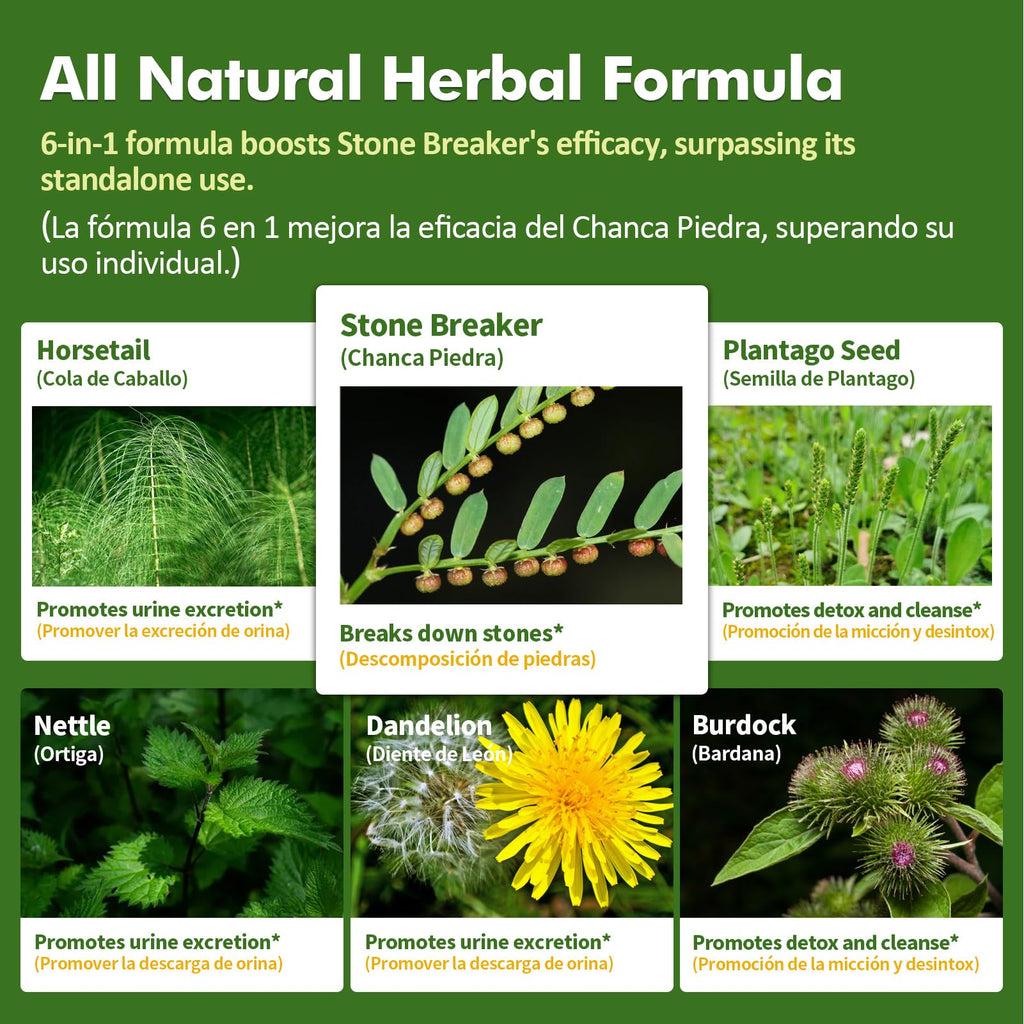 effective detox & cleanse for kidneys