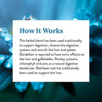 effective digestive support for everyday use
