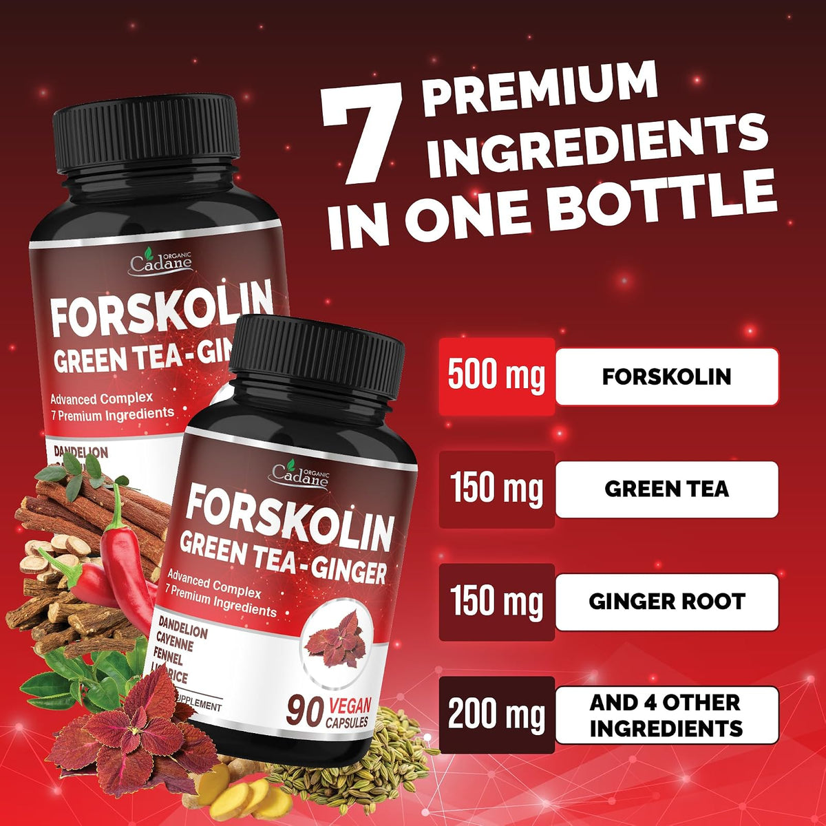 effective forskolin supplement for energy