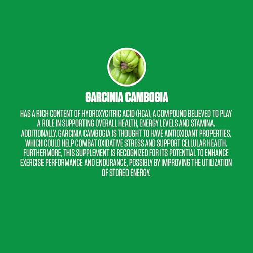 effective garcinia cambogia pills for dieting