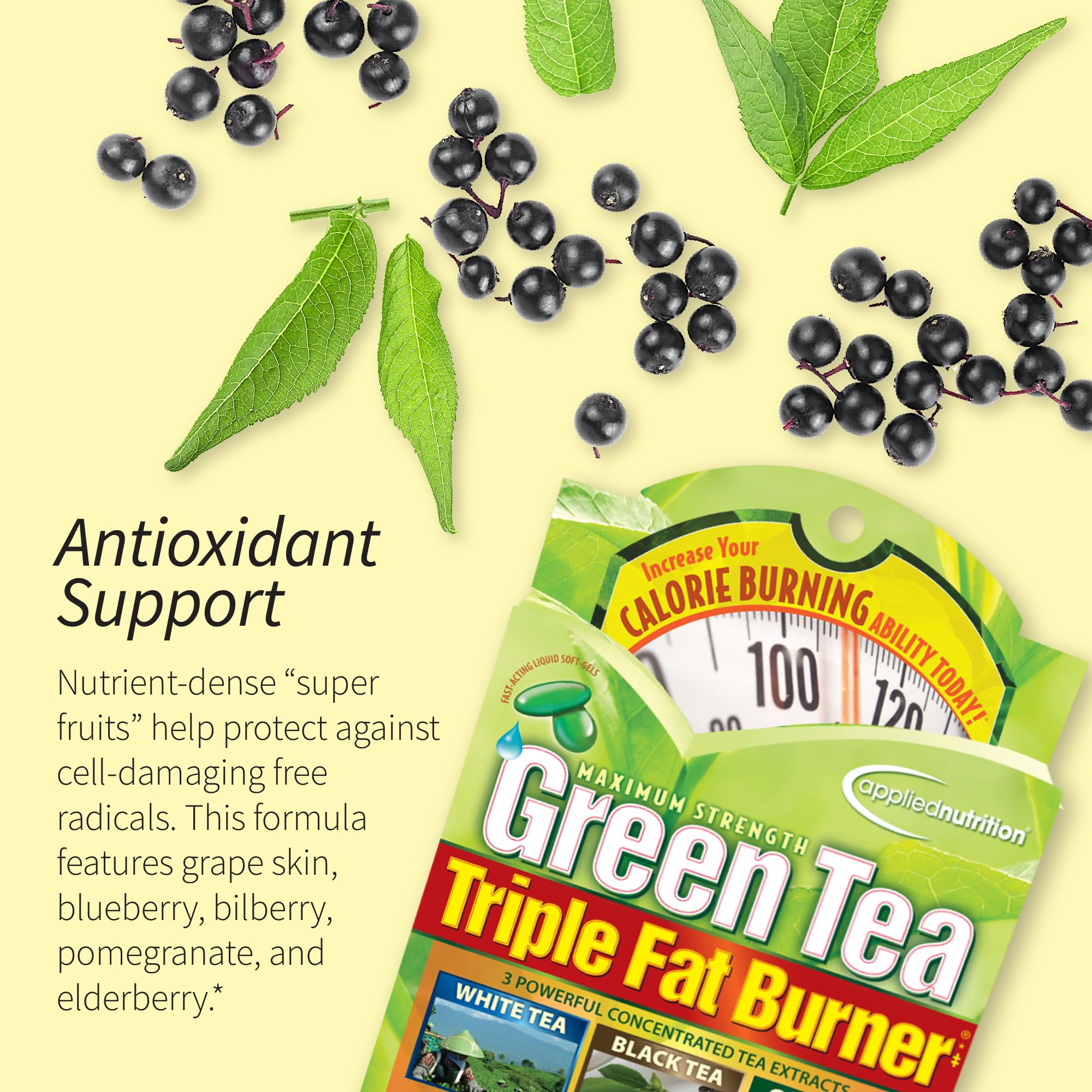 effective green tea weight management