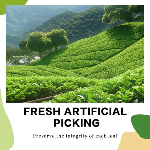EGCG green tea for weight loss