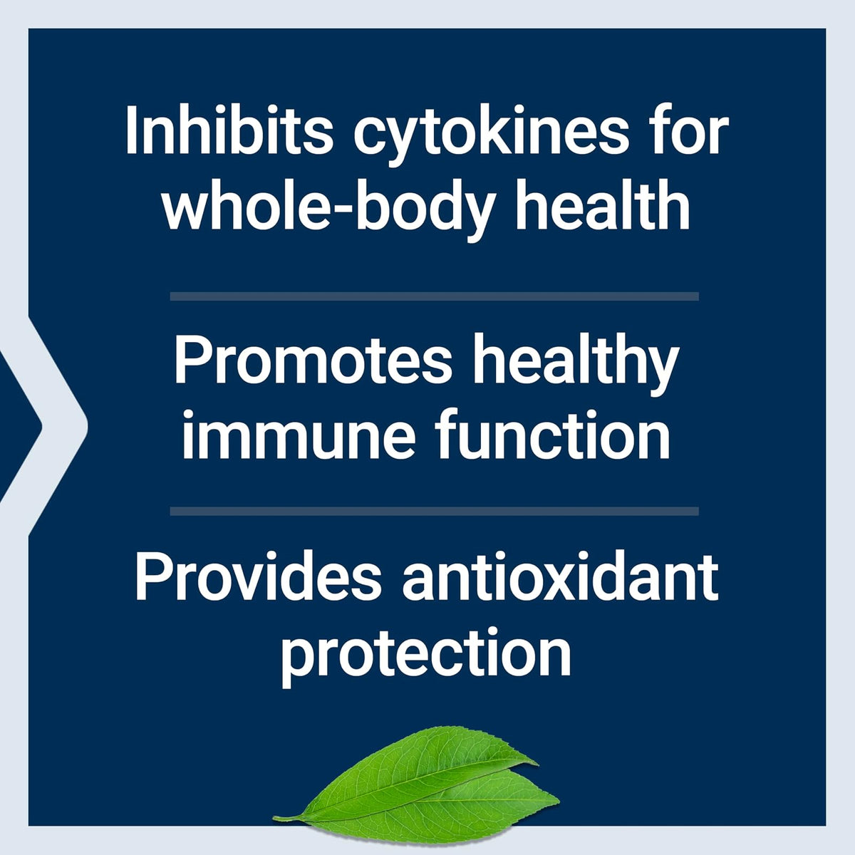 EGCG infused multivitamin for seniors