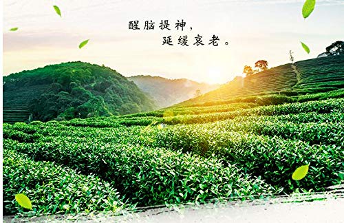 EGCG rich green tea