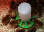 Egg shell hardener for healthy chickens