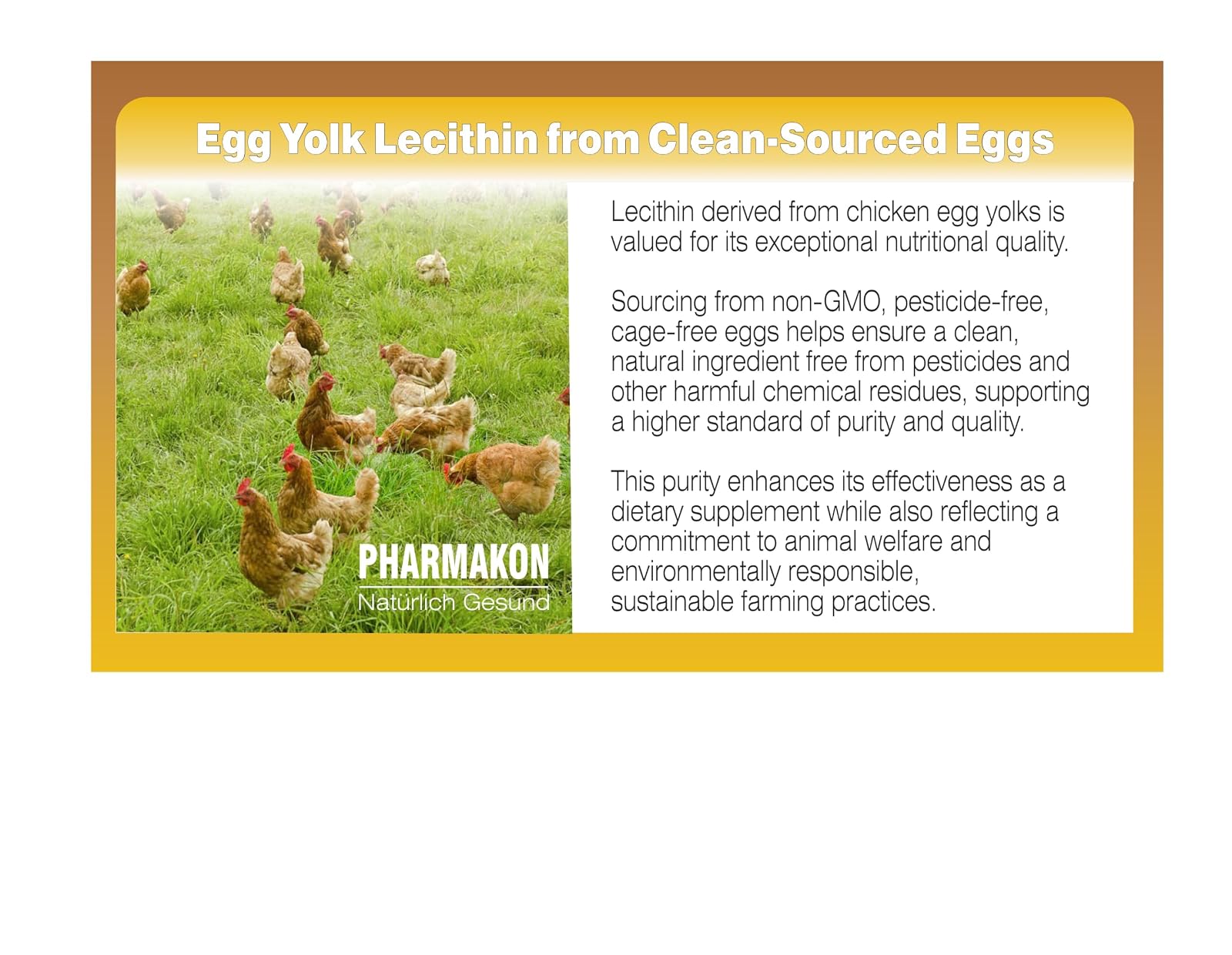 egg yolk lecithin for heart health